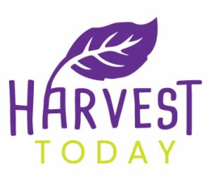 Learn About the Harvest Wall Vertical Gardening System - Keep It Watered